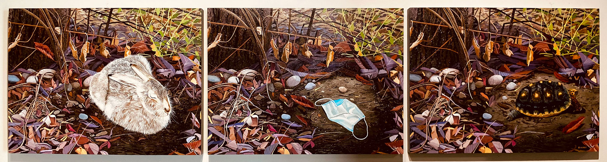 Barbara Hirst - The Collectors' Gallery of Art