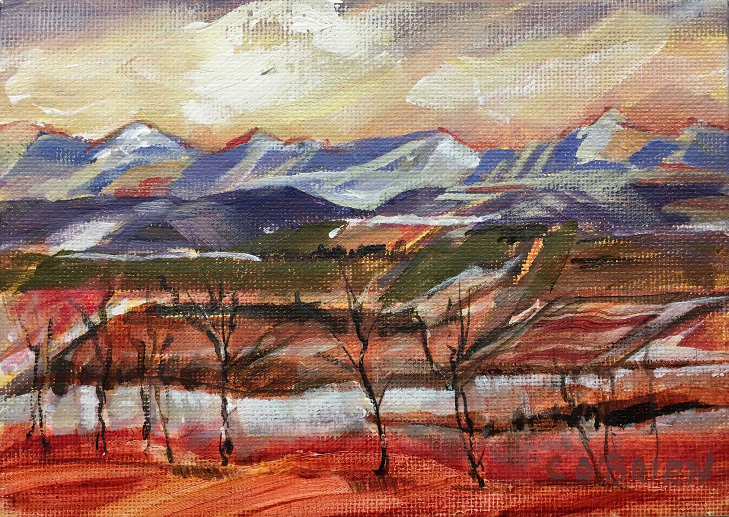 Colleen O’Brien - The Collectors' Gallery of Art