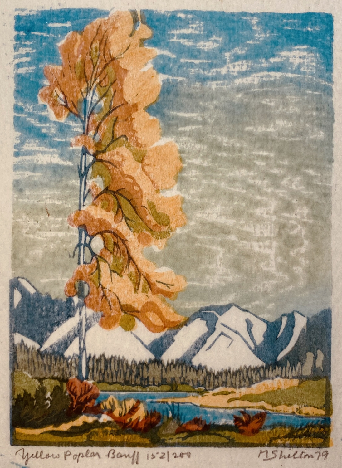 Margaret Shelton Exhibition - The Collectors' Gallery of Art