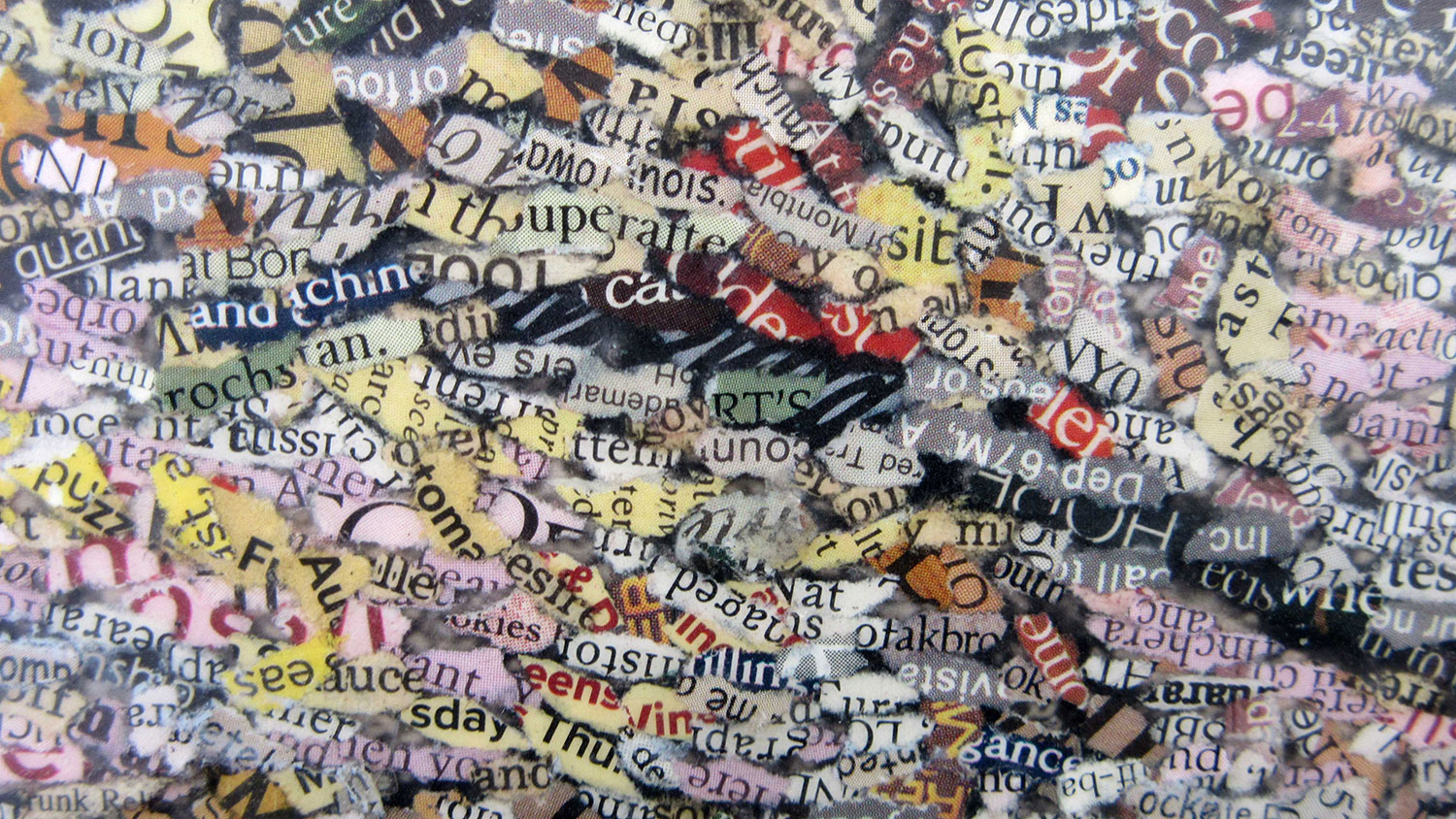 Mandy Johnston - The Collectors' Gallery of Art Mandy Johnston