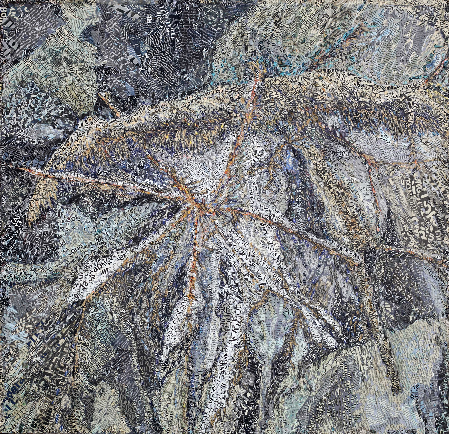 Mandy Johnston - The Collectors' Gallery of Art Mandy Johnston