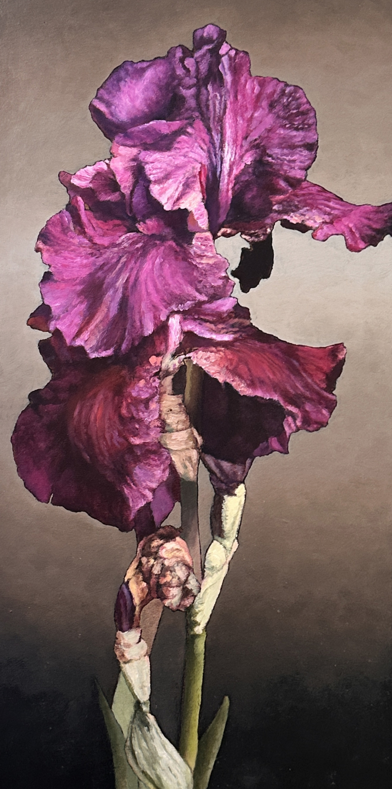 Exhibition - Visions of Spring: Petals and Wings - The Collectors ...